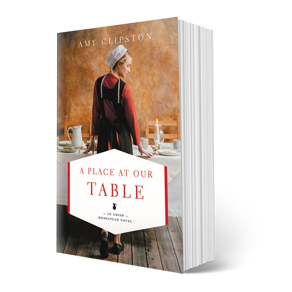 Amish Homestead Series - Thomas Nelson & Zondervan Fiction