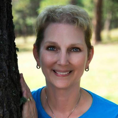 Like the Wind - TNZFiction